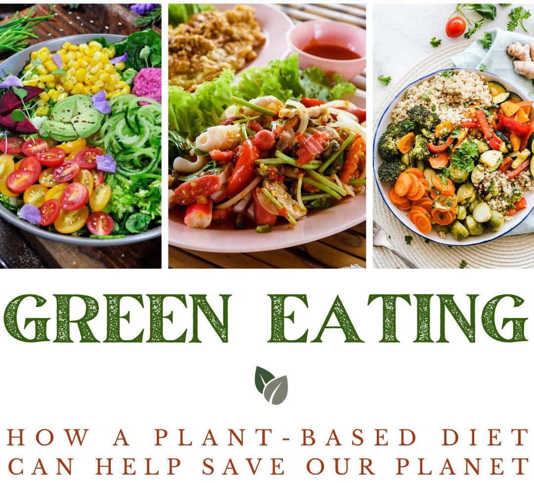 The Benefits of a Plant-Based Diet for the Environment: Saving Our Planet One Meal at a Time ...