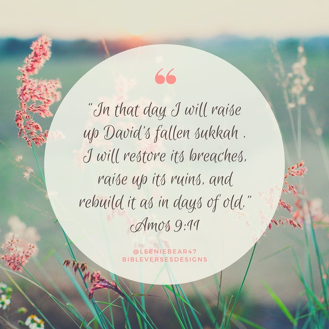 “In that day I will raise up David’s fallen sukkah . | by 𝓐𝓲𝓵𝓮𝓮𝓷 ...