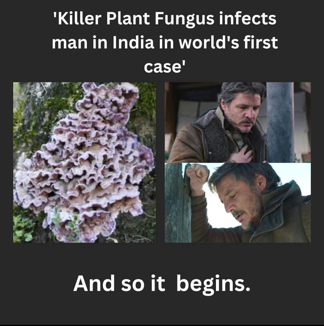 Fungus Among Us? Global-first Case of a Man Infected by a Plant Fungus ...