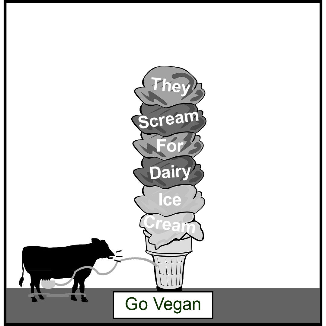 Dairy Ice Cream - Animals Out Loud - Medium