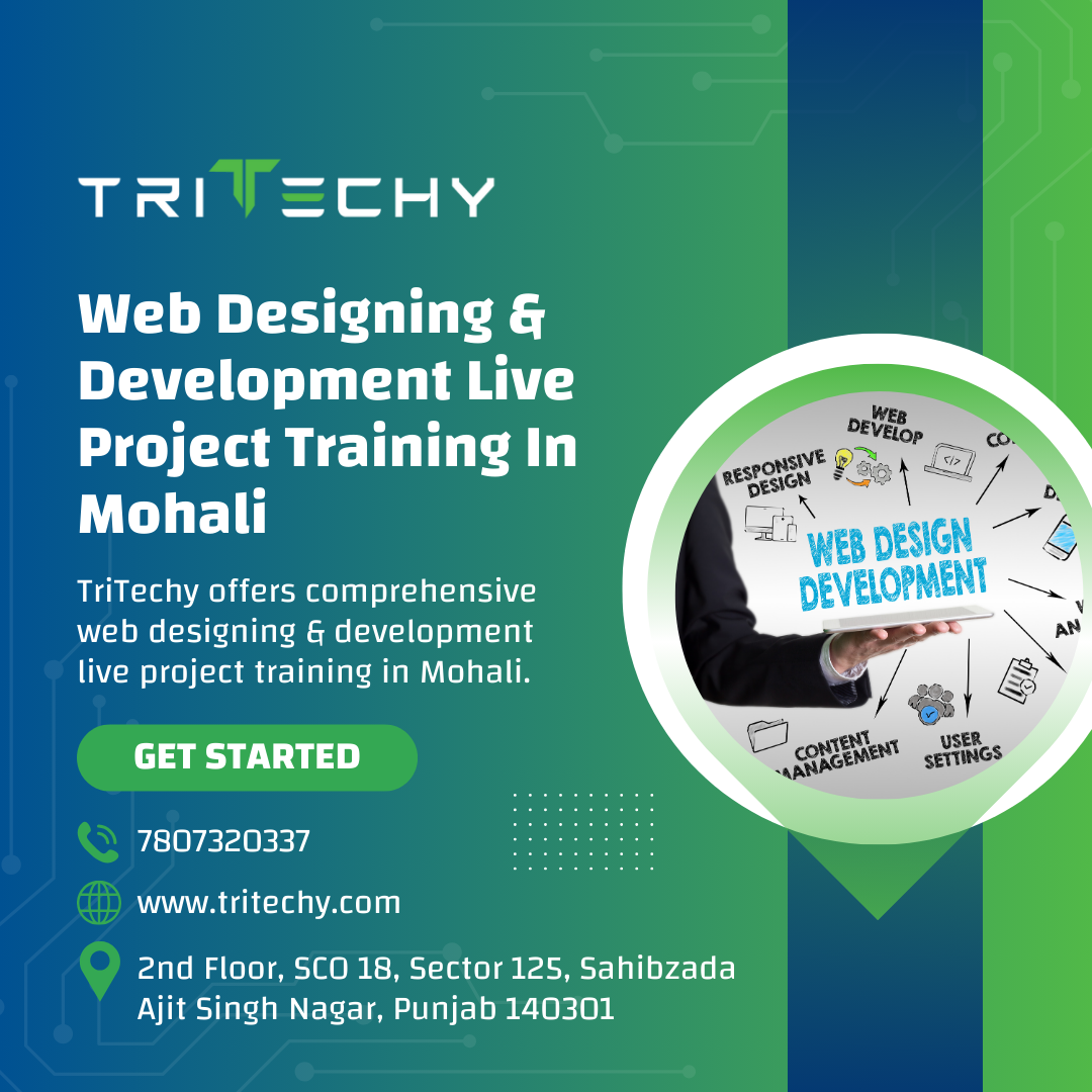 Web Designing & Development Live Project Training In Mohali - TriTechy - Medium