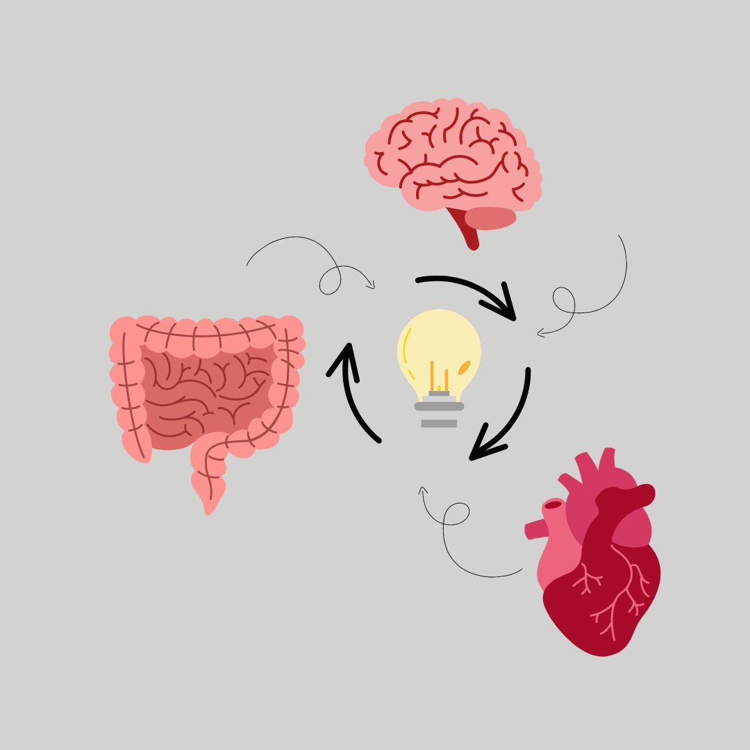 Heart & Mind: Decision Making. “we can clearly understand that there ...