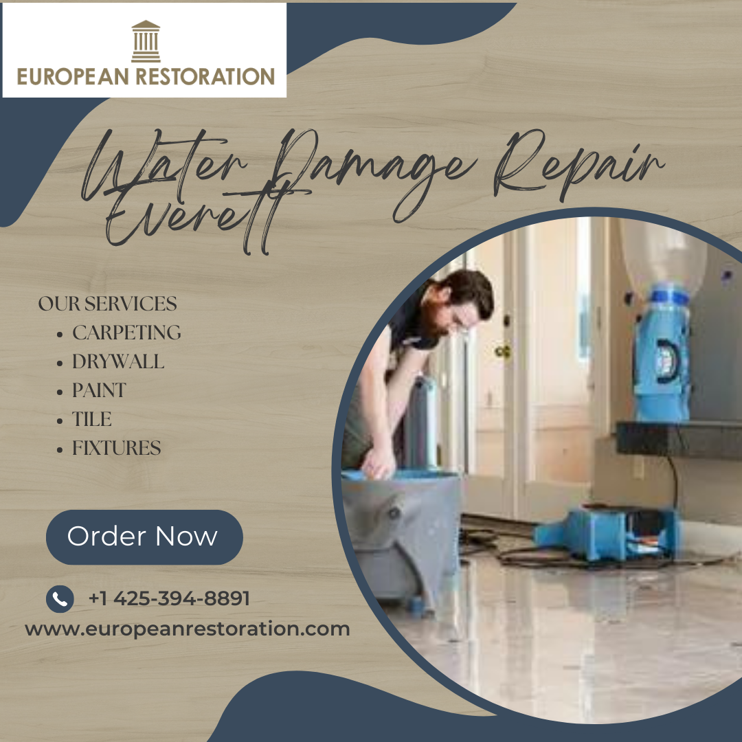 Expert Tips for Preventing Water Damage in Your Everett Home | by ...
