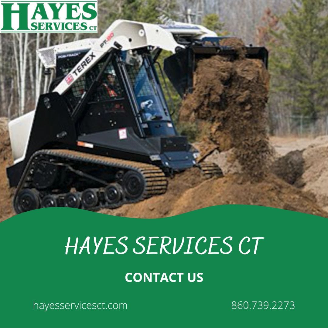 How to Choose the Right Brush Removal Service in CT - Hayes Services CT ...