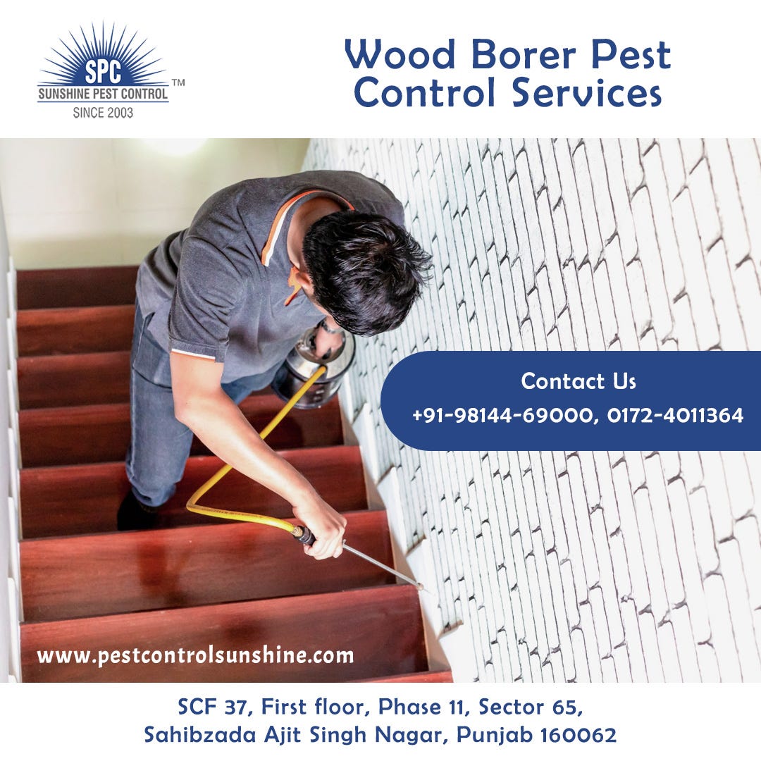 Wood Borer management - Sunshine Pest Control(Mr. Arshi Singh) - Medium