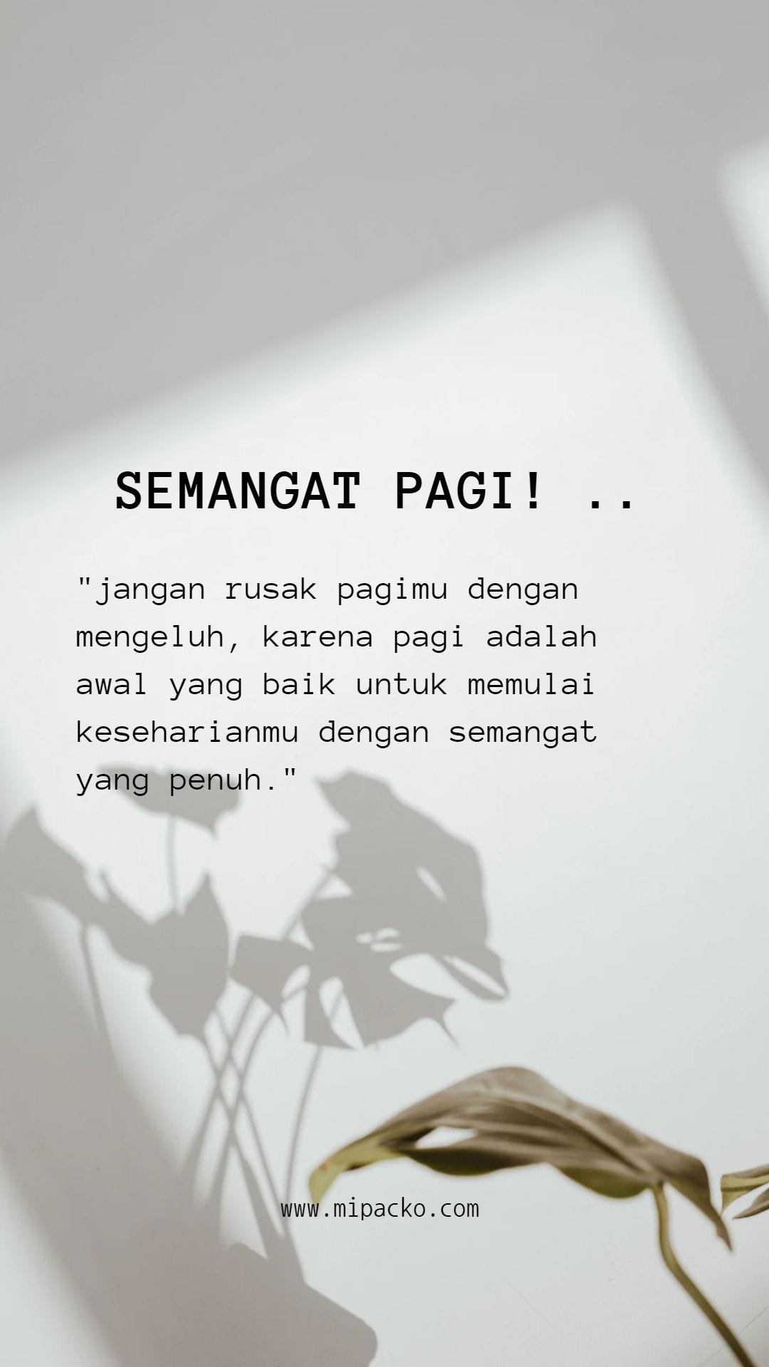 Mipacko Microfiber (Quotes) . . . #quotes #mipacko #microfibermipacko # ...