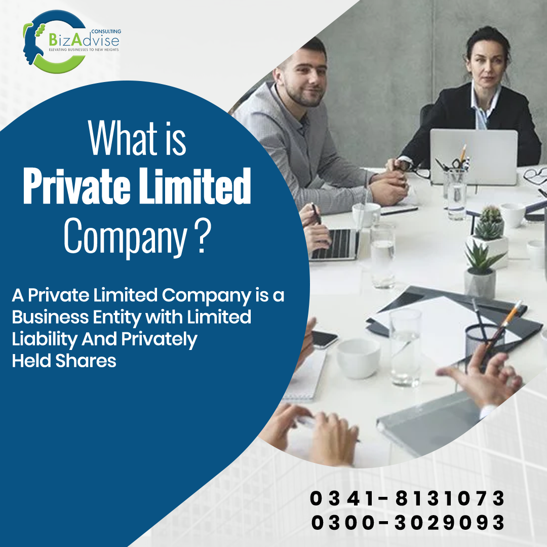 Title: Meeting the Requirements of a Private Limited Company: A ...