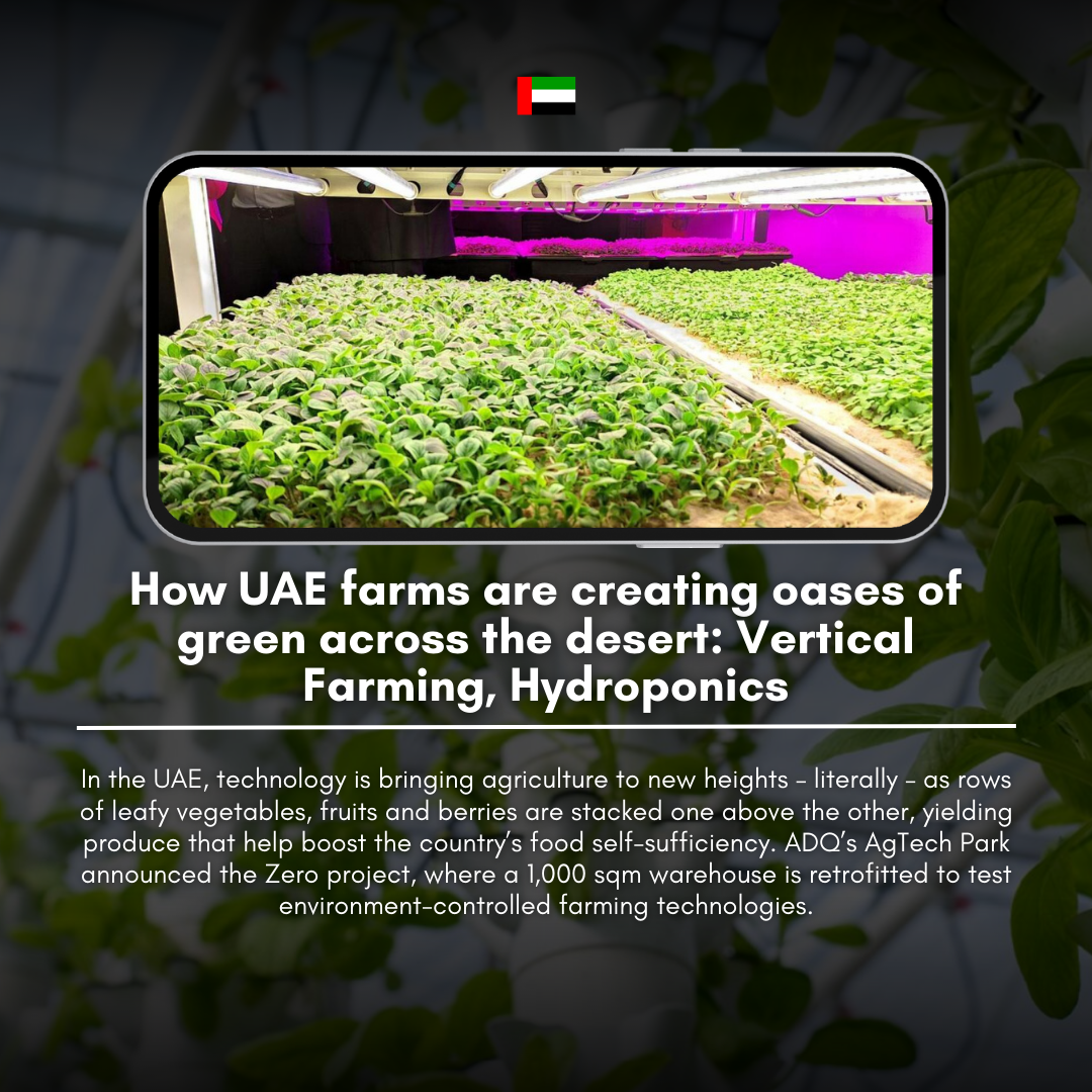 Tackling Arid Land and Increasing Food Self-Sufficiency in the UAE with ...