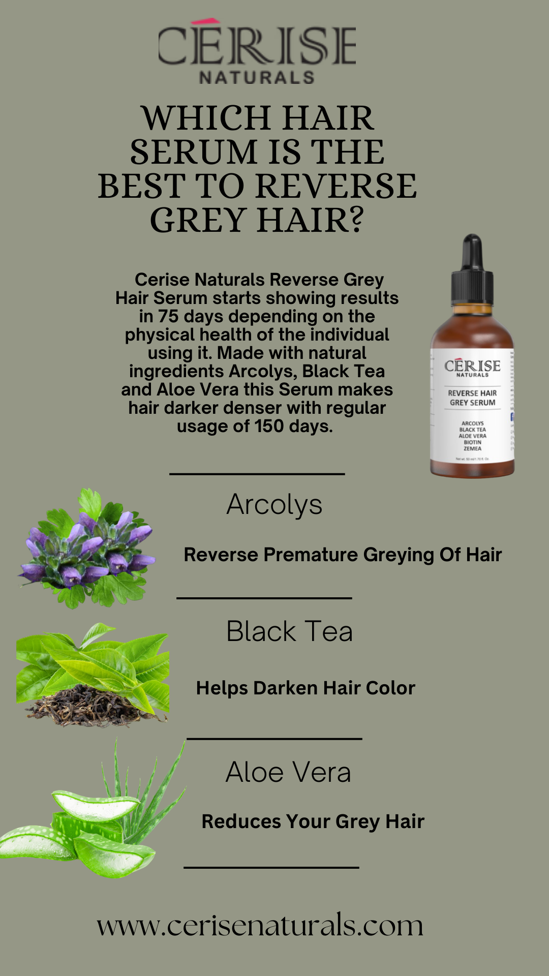 WHICH HAIR SERUM IS THE BEST TO REVERSE GREY HAIR? | by Ambujaman | Medium