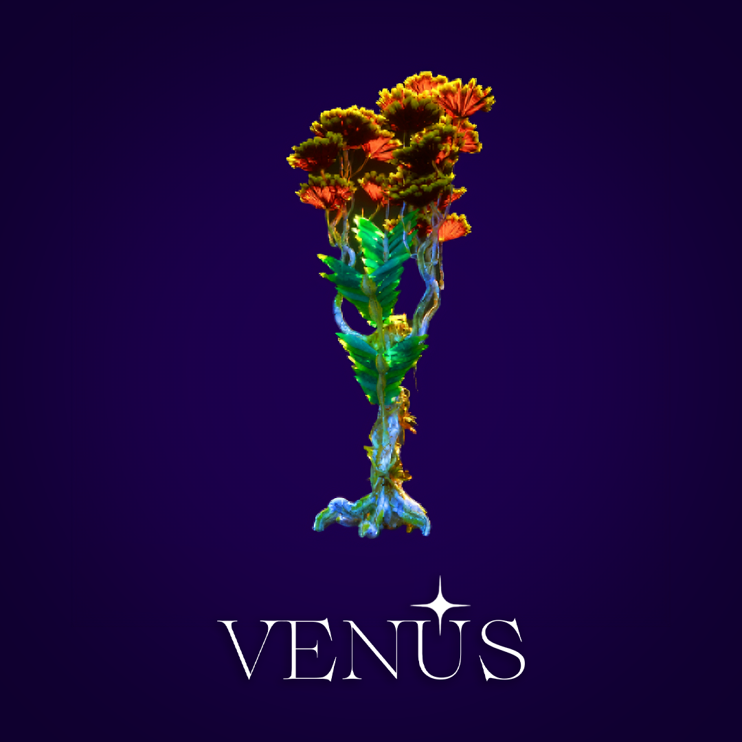 Fascinating Plants Of Venus 🌿. There is one unique plant that you can ...