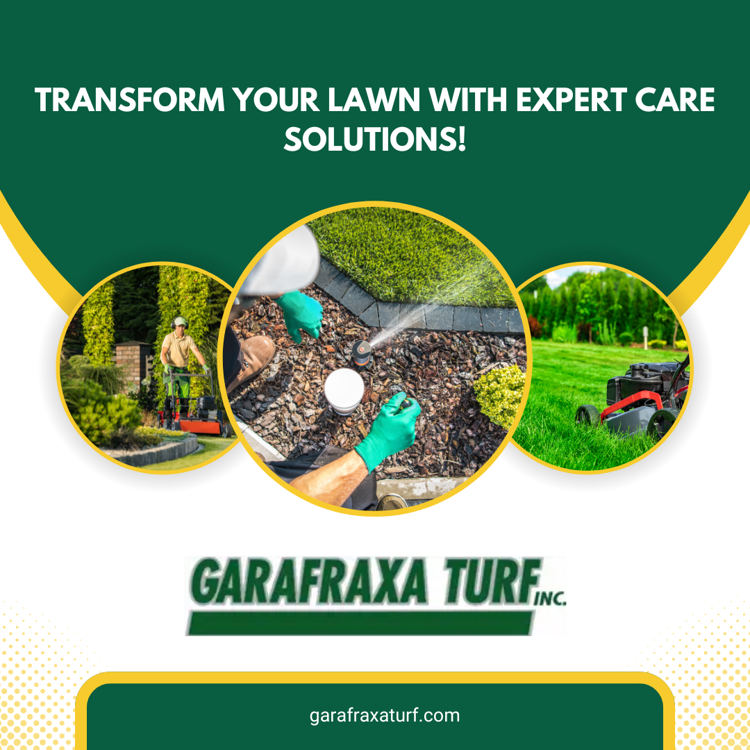 Transform Your Lawn with Expert Care Solutions! - Canada Business - Medium