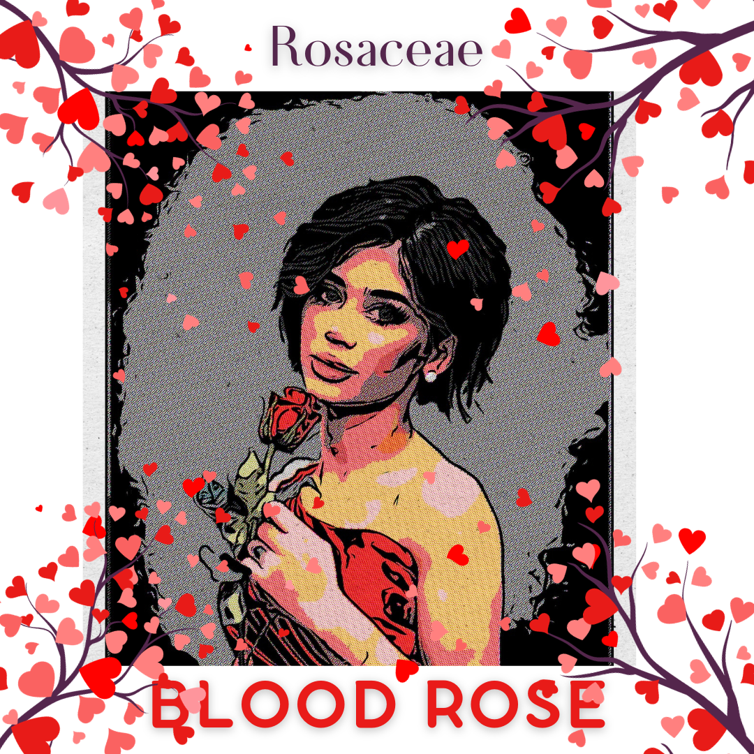 Rosacea, Blood Rose - Poem by Max Smith | Medium
