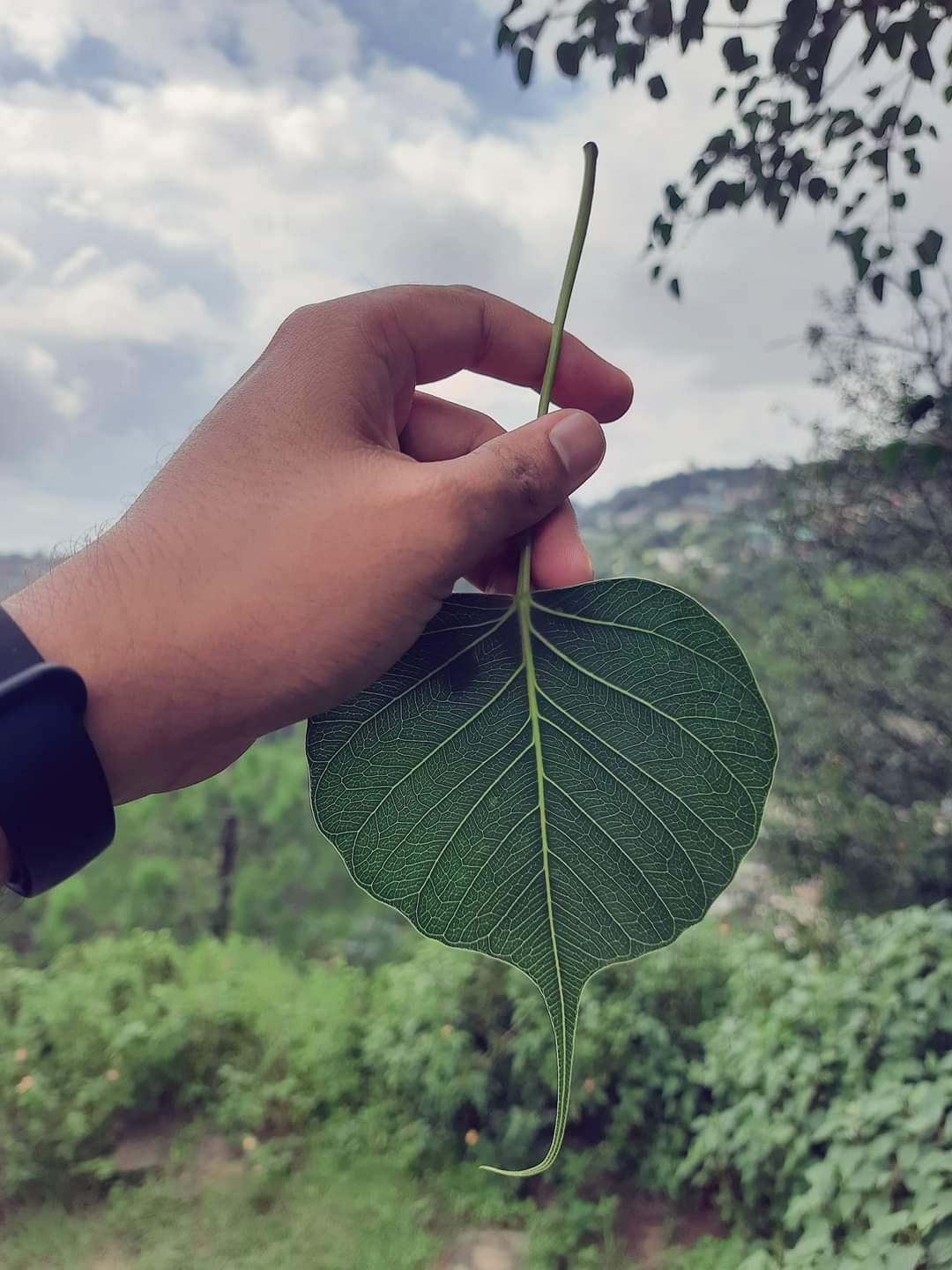 Buddha and Interconnectedness. How Eastern Philosophy Goes Against ...