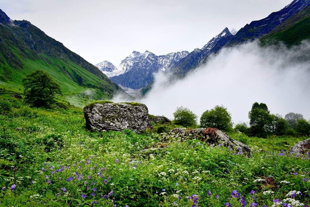 When a trek changed my life.. (part-1) | by Shiladitya Ghosh | Medium