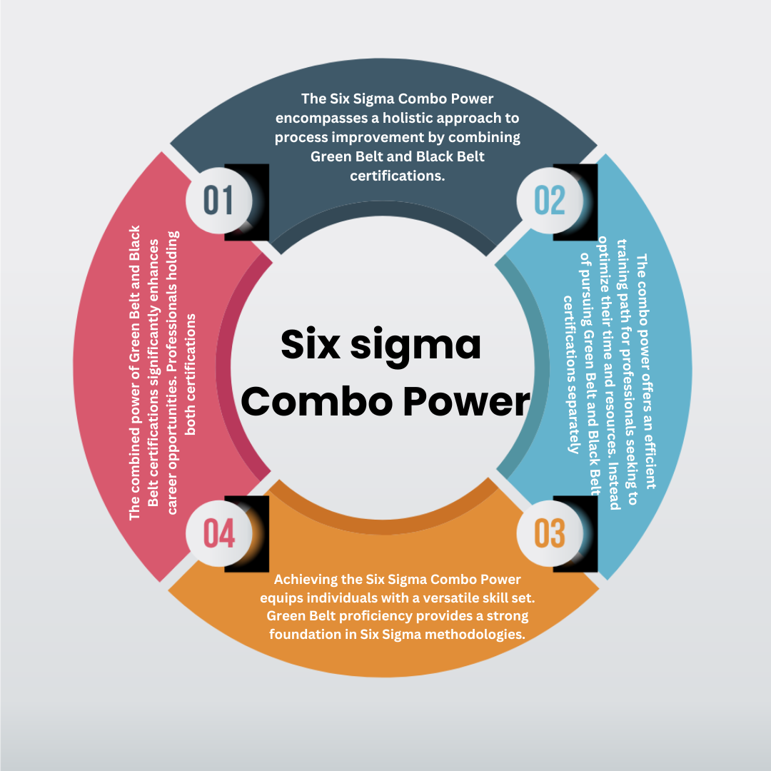A Guide to Green Belt and Black Belt Study Materials for Navigating Six ...