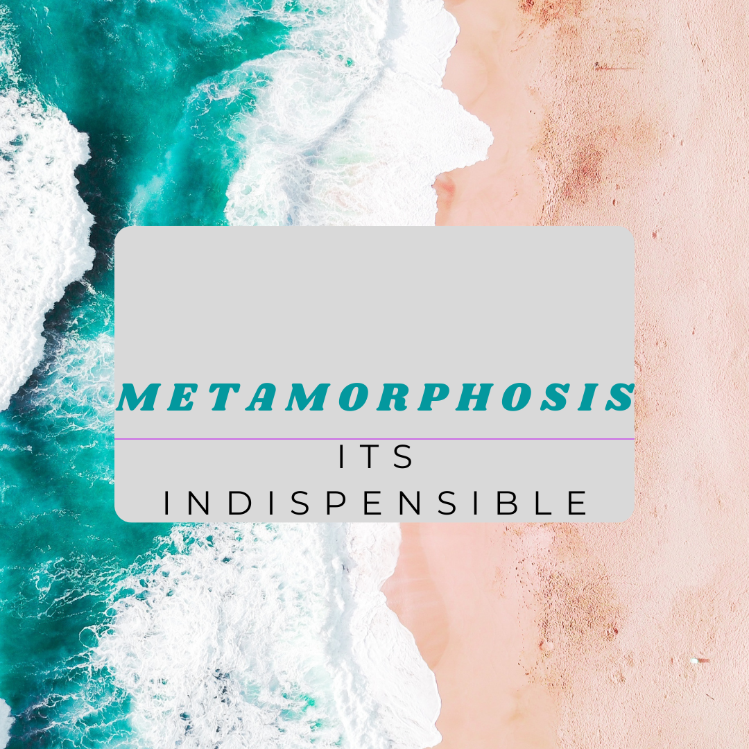 Metamorphosis. Seasons Alter and so does the time , | by Aliza Shamsi ...