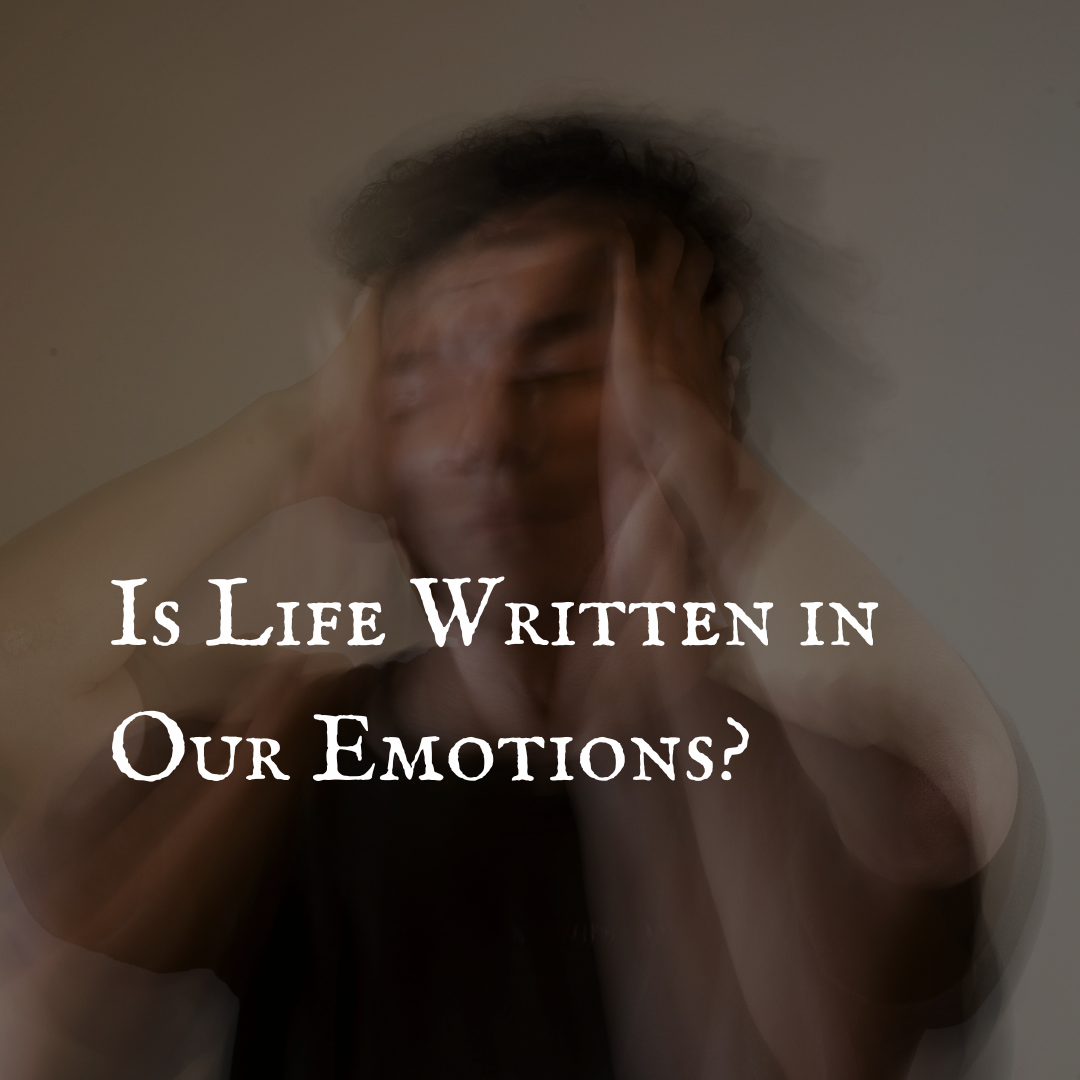 Is Life Written in Our Emotions?. Emotion=living? | by mirarkive | Medium