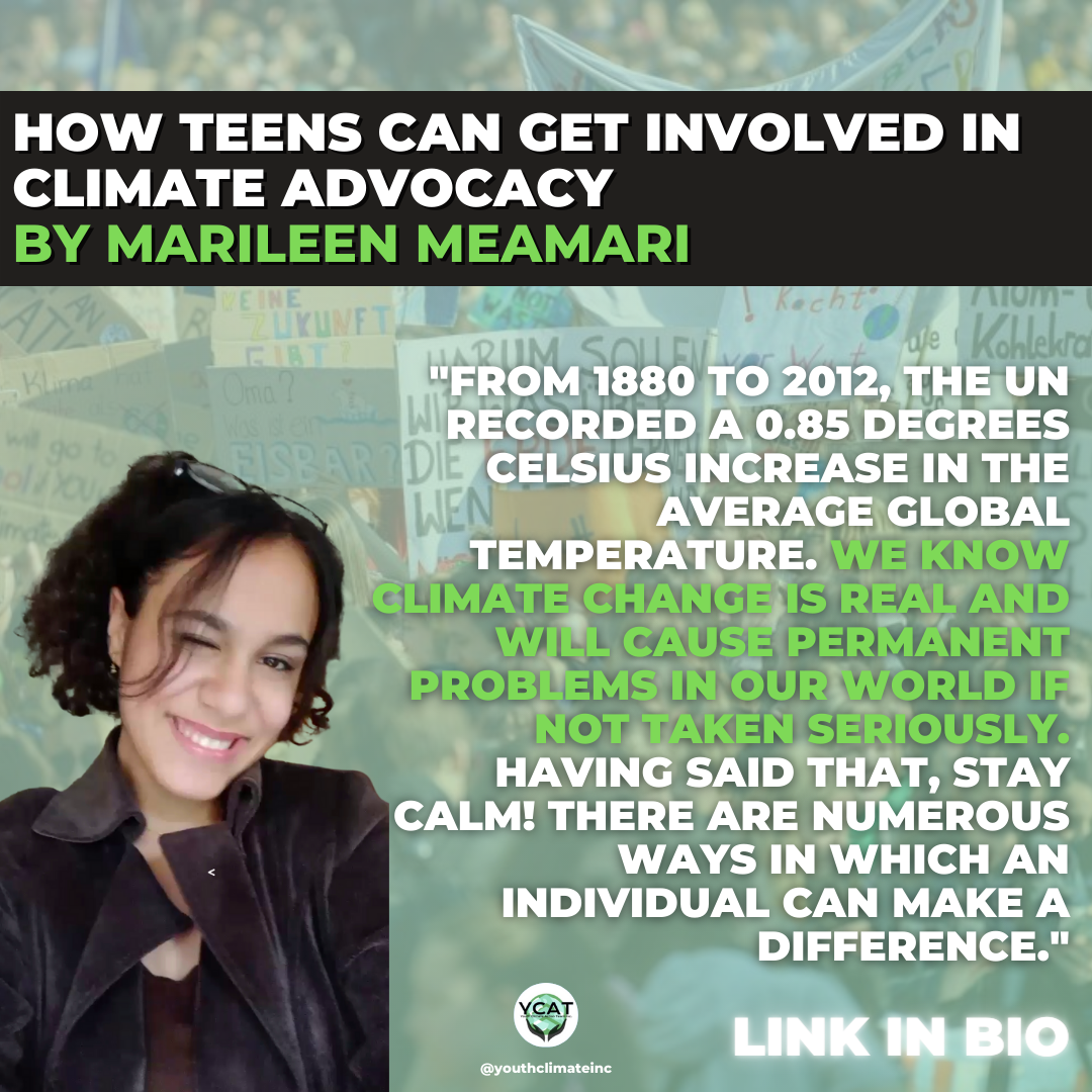 How Teens Can Get Involved in Climate Advocacy | by Youth Climate ...