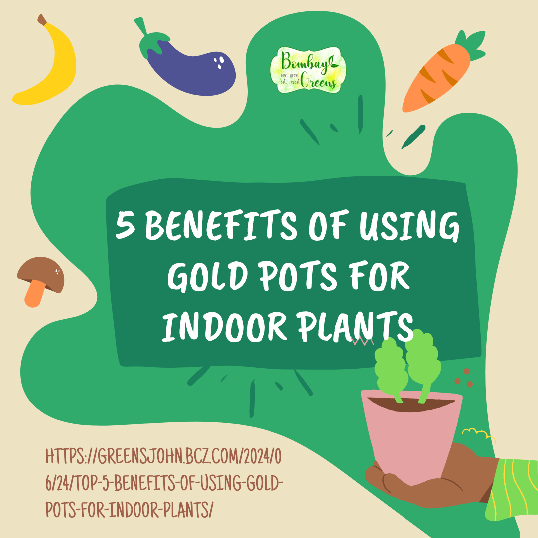 Top 5 Benefits of Using Gold Pots for Indoor Plants - John Greens - Medium