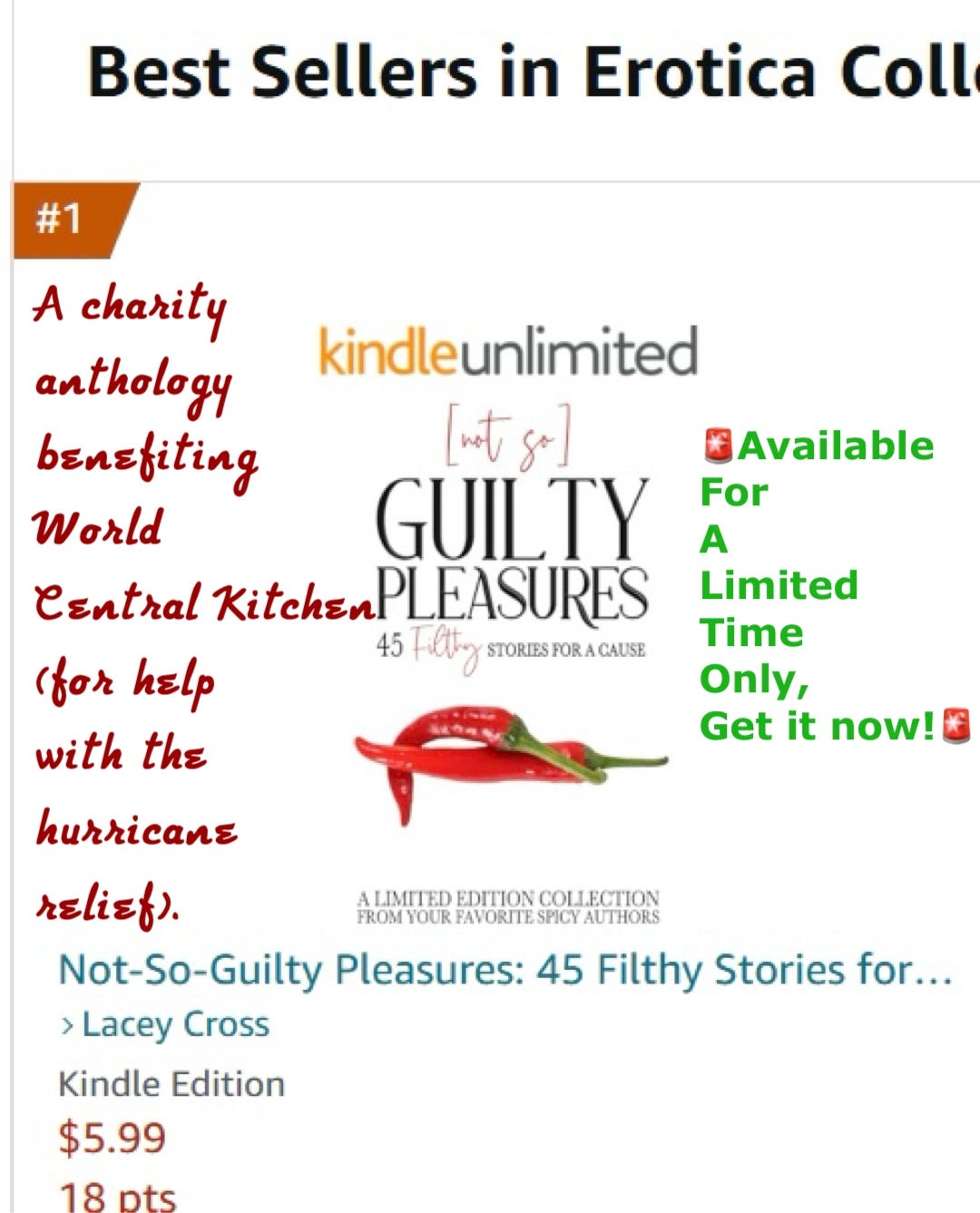 Spicy Romance with 40+ Erotica Fiction Authors create a Charity Anthology that hit number 1 ...