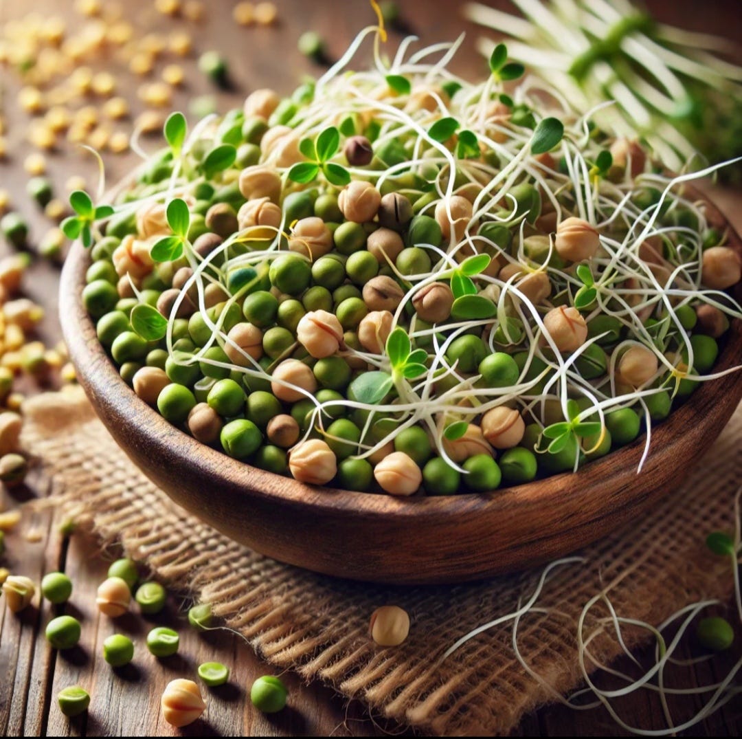 Unlocking the Power of Sprouts: Top Health Benefits and How to Include ...