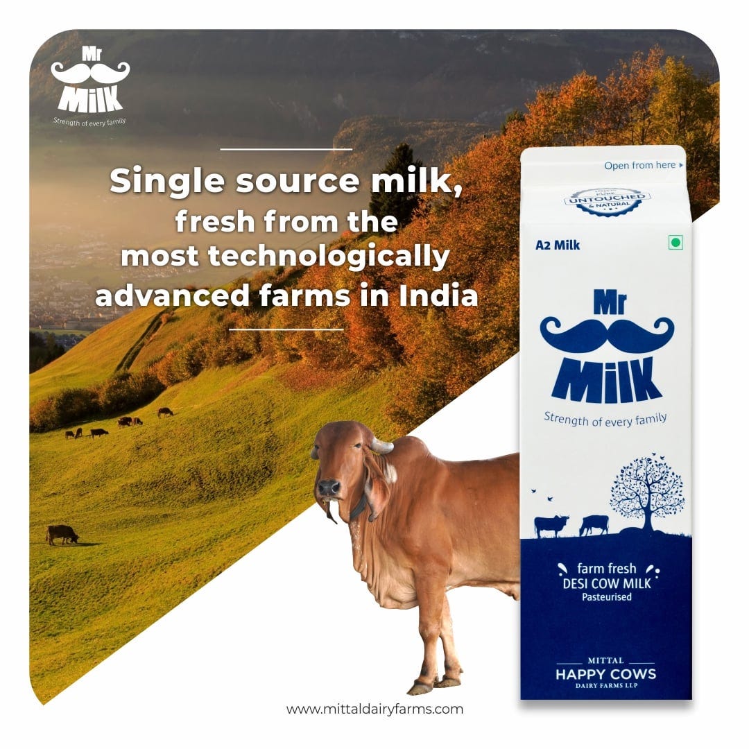 Pure Gir Cow A2 Milk | Farm fresh Mr. Milk - Mr. Milk - Medium