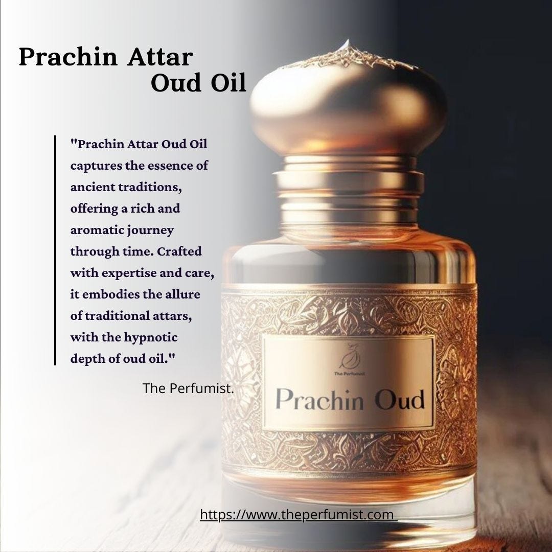 Prachin Attar Oud Oil - Jenniferring - Medium