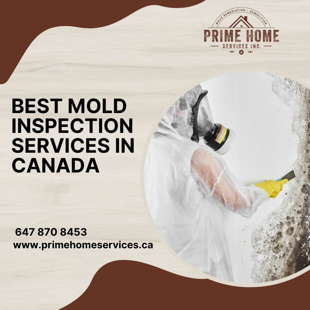 Best Mold Inspection Services In Canada - Prime Home Services - Medium