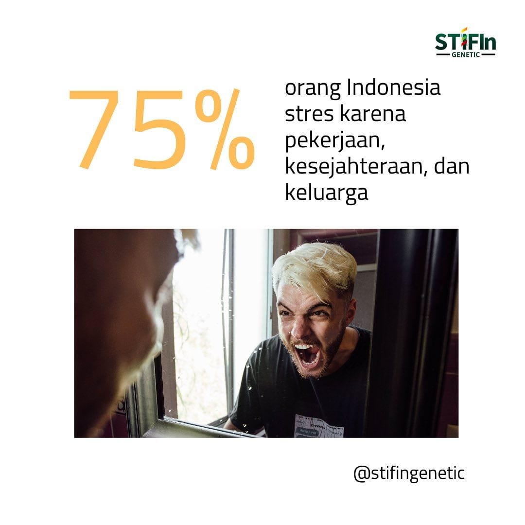 0857–7217–5078, Biaya dan Harga Tes Stifin Anak Kota Tangerang Selatan ...