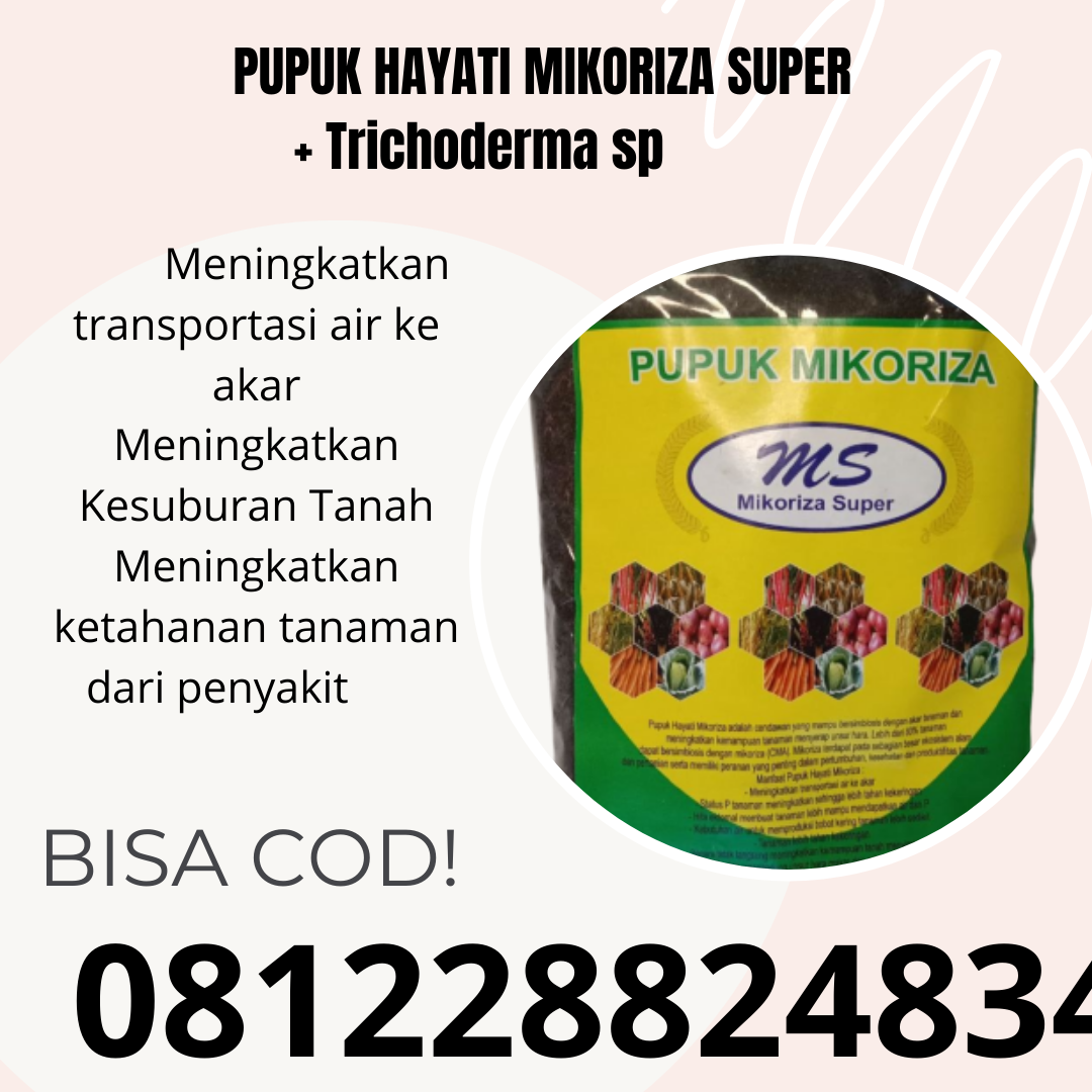 TERPECAYA! 0812–2882–4834 Suplplier Pupuk Akar Dan Pupuk Daun Pacitan ...