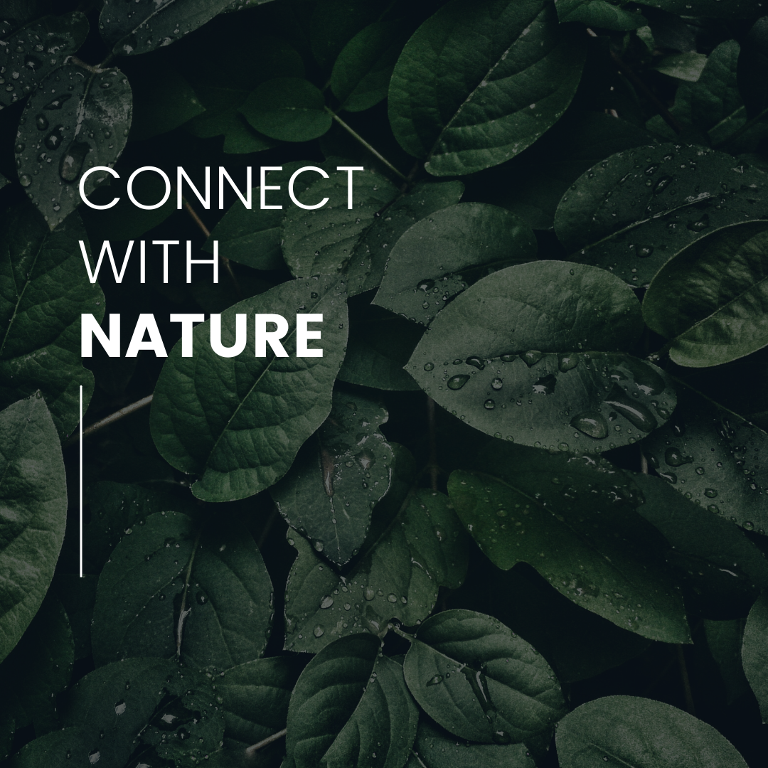Why Connecting with Nature Boosts Our Happiness? | by Alalalana_ | Medium