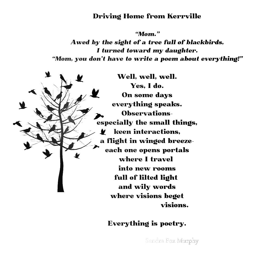Driving Home from Kerrville - Sandra Fox Murphy - Medium