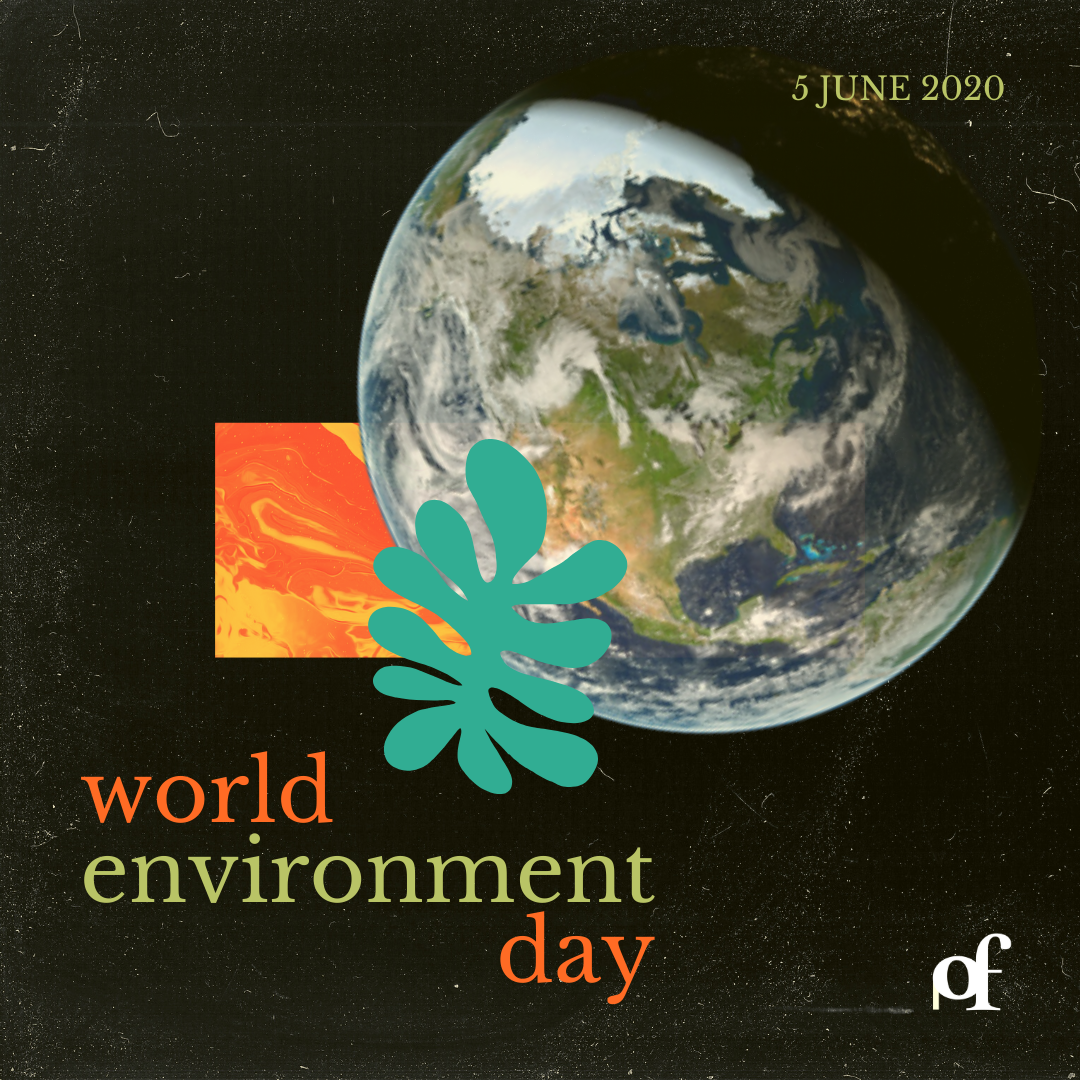World Environment Day 2020. The United Nations day for encouraging ...
