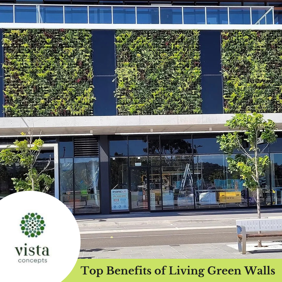 8 Benefits of Living Green Walls. Living green walls can often be seen ...