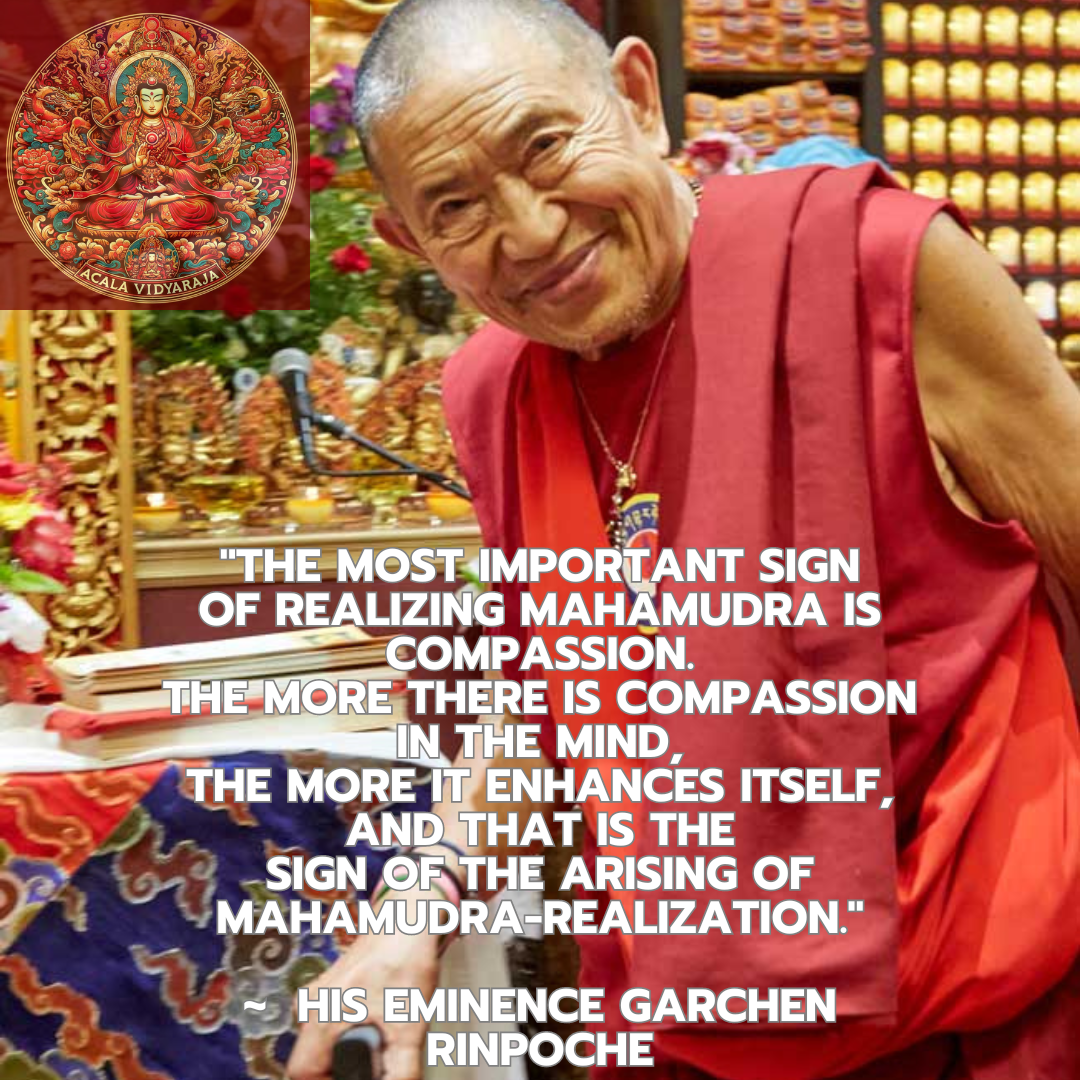 Understanding Mahamudra and Compassion: Insights from His Eminence ...