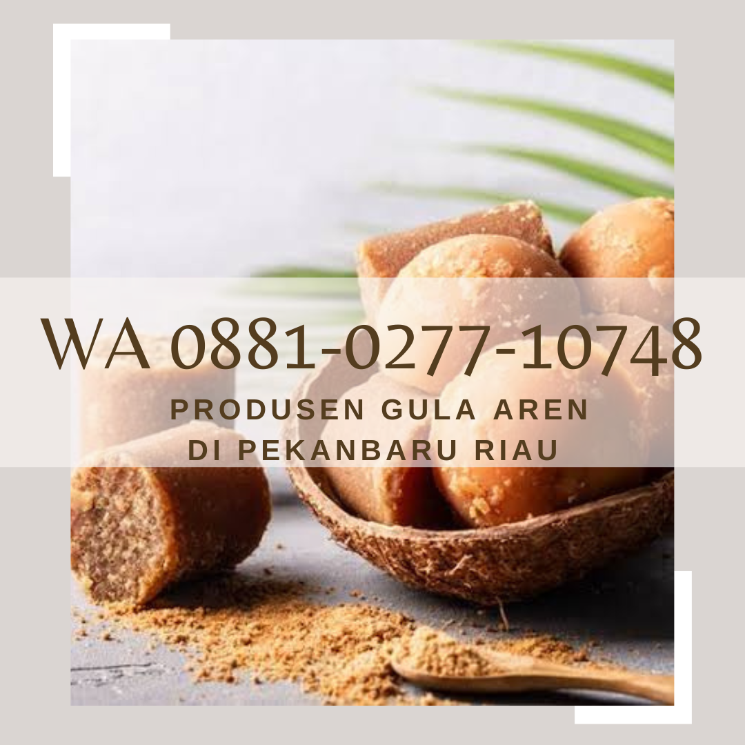 WA 0881–0277–10748 Produsen Gula Aren di Pekanbaru Riau - Agengulaaren ...