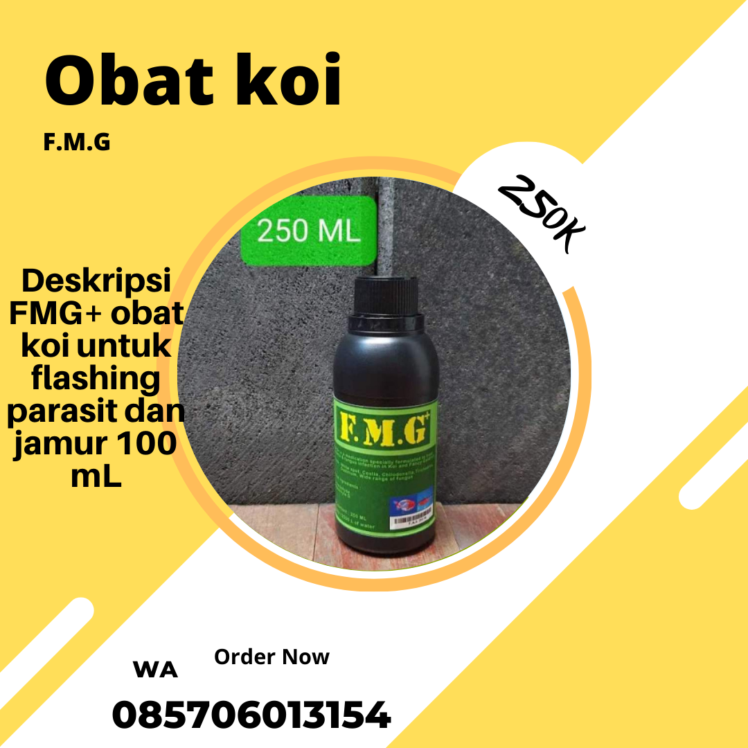 obat ikan koi 085706013157 Kabupaten Rembang — Rembang - Grosir Obat ...