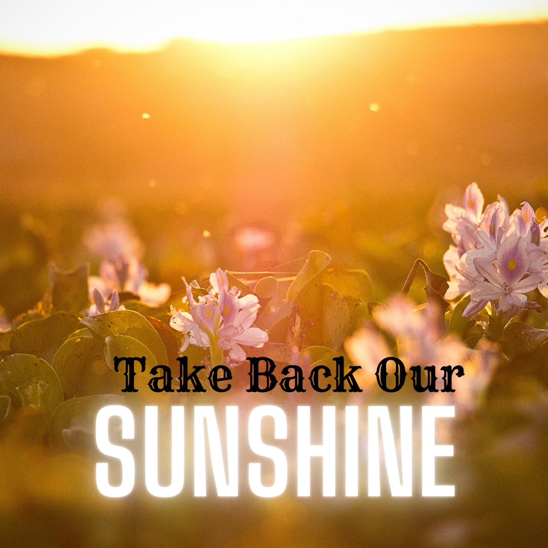 We Can Take Back Our Sunshine. Good day to you, kind soul. I’ve… | by ...