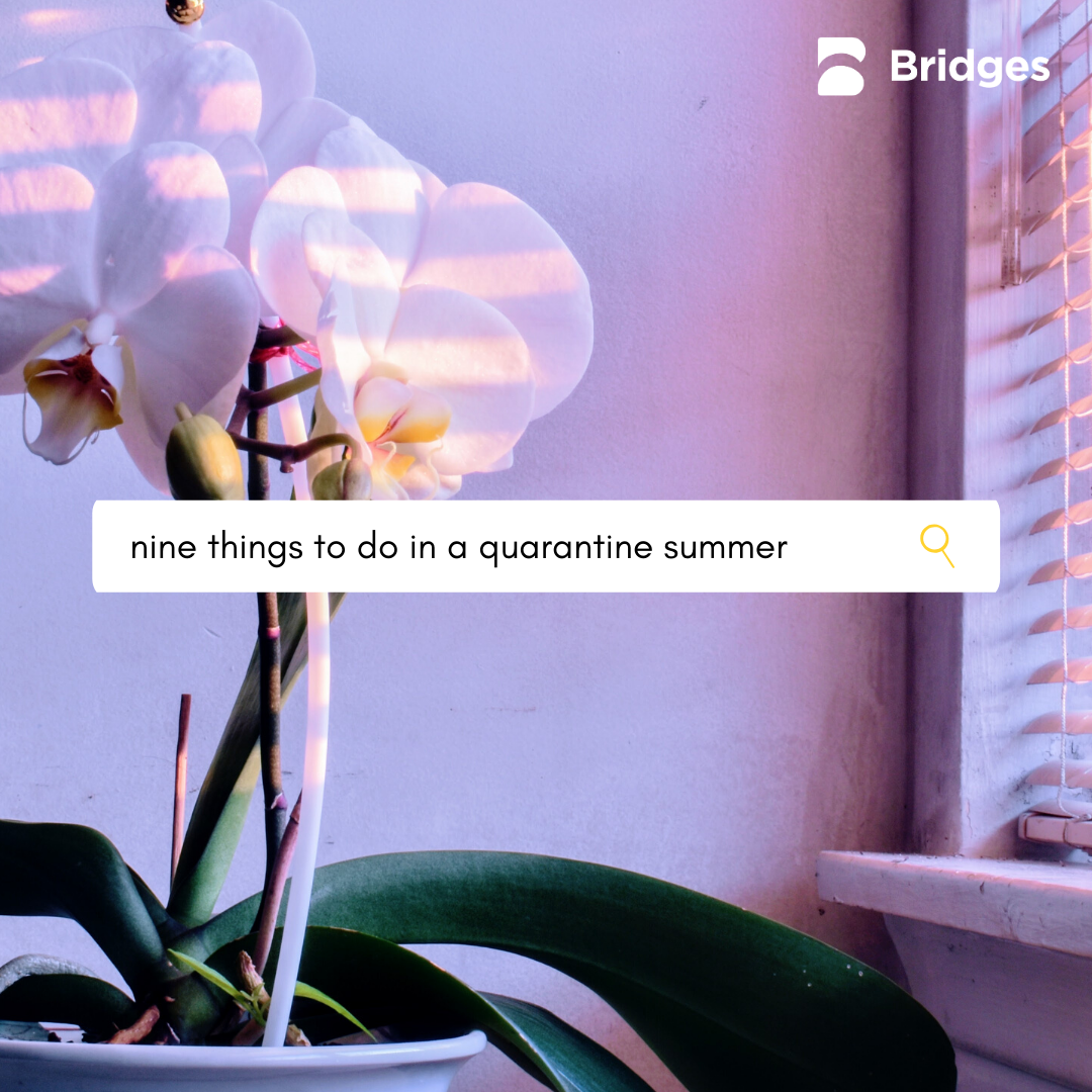 The Bridges Guide To A Quarantine Summer! | by Bridges | Medium