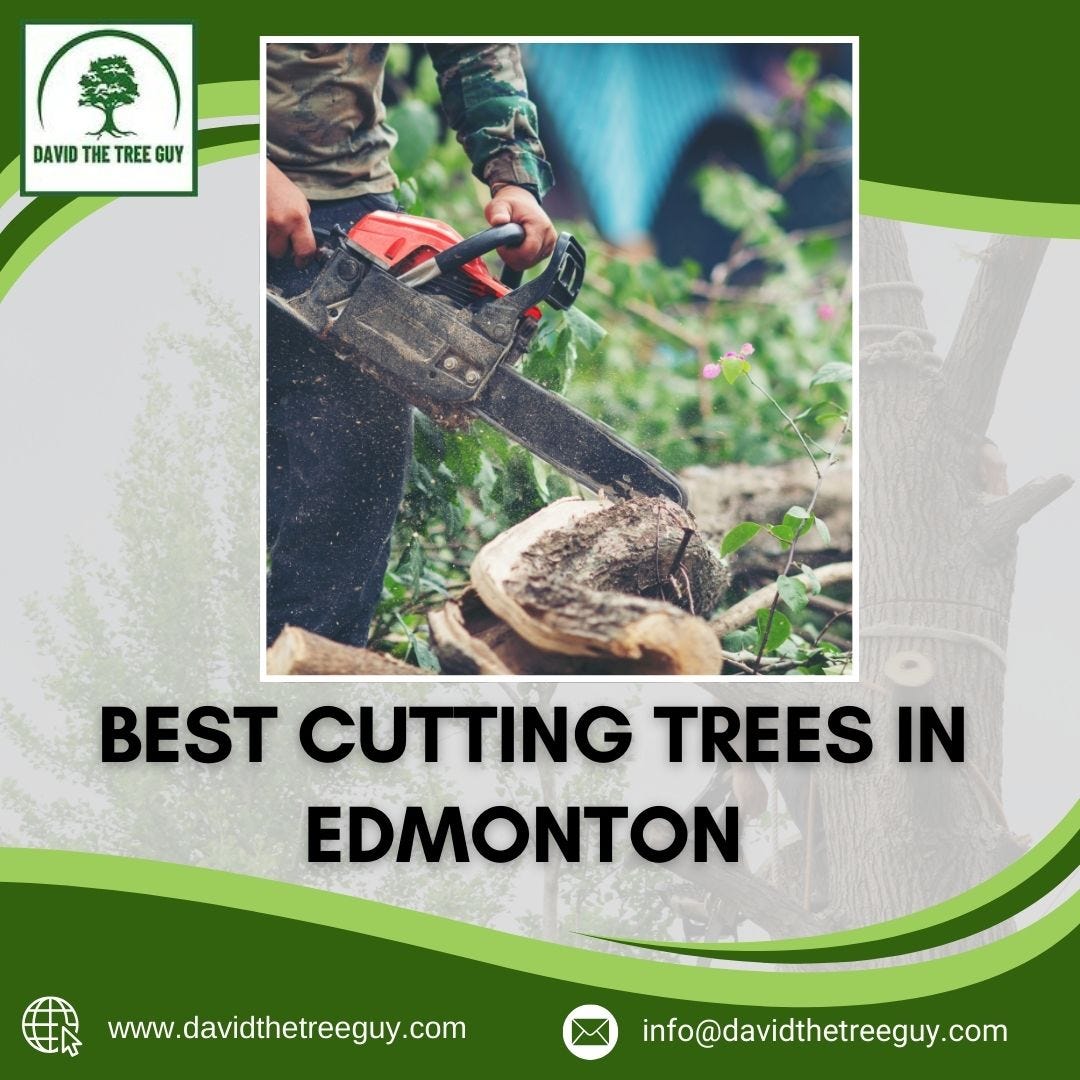 Best Cutting Trees in Edmonton - David The Tree Guy - Medium