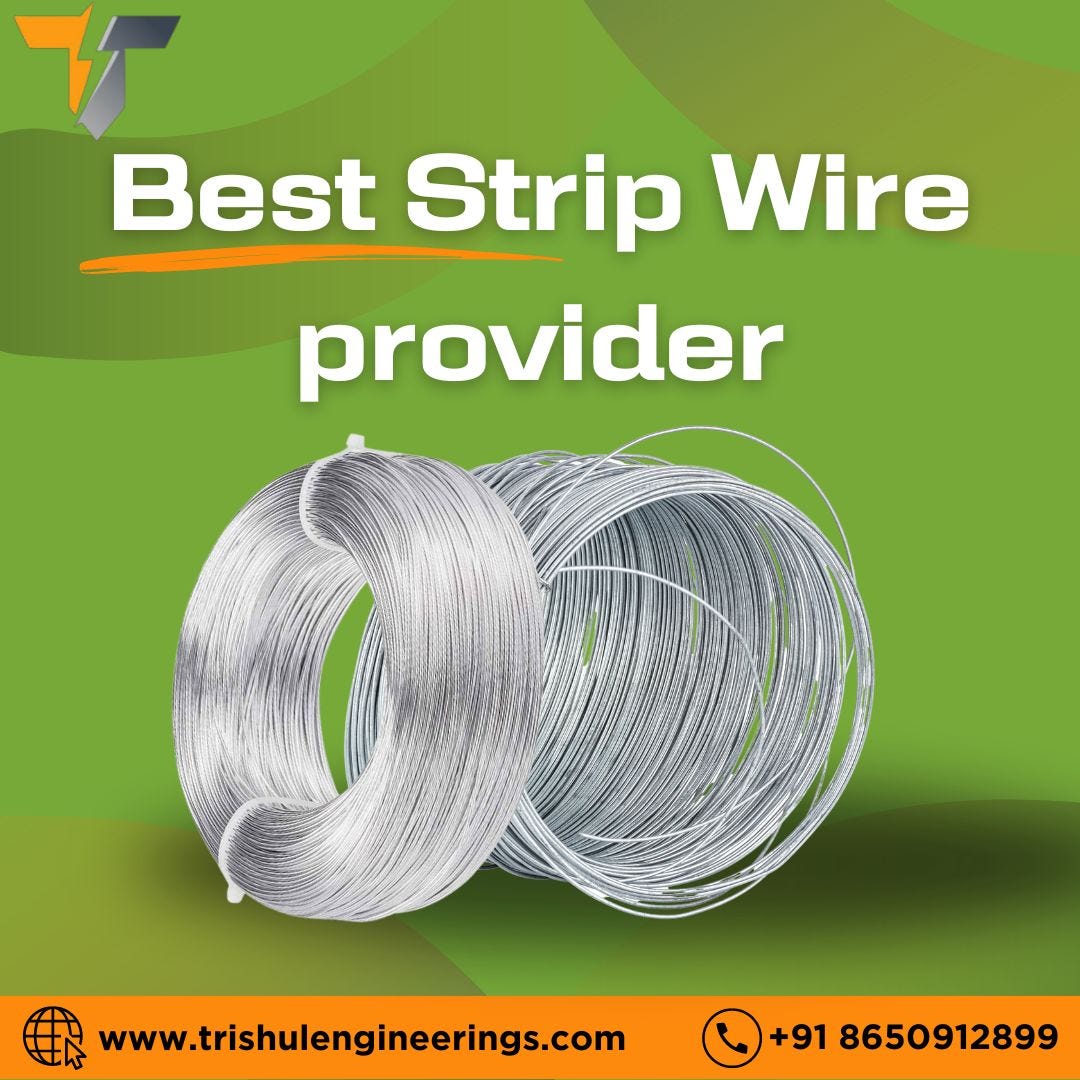 Best Strip Wire provider - TRISHUL ENGINEERING CORPORATION - Medium