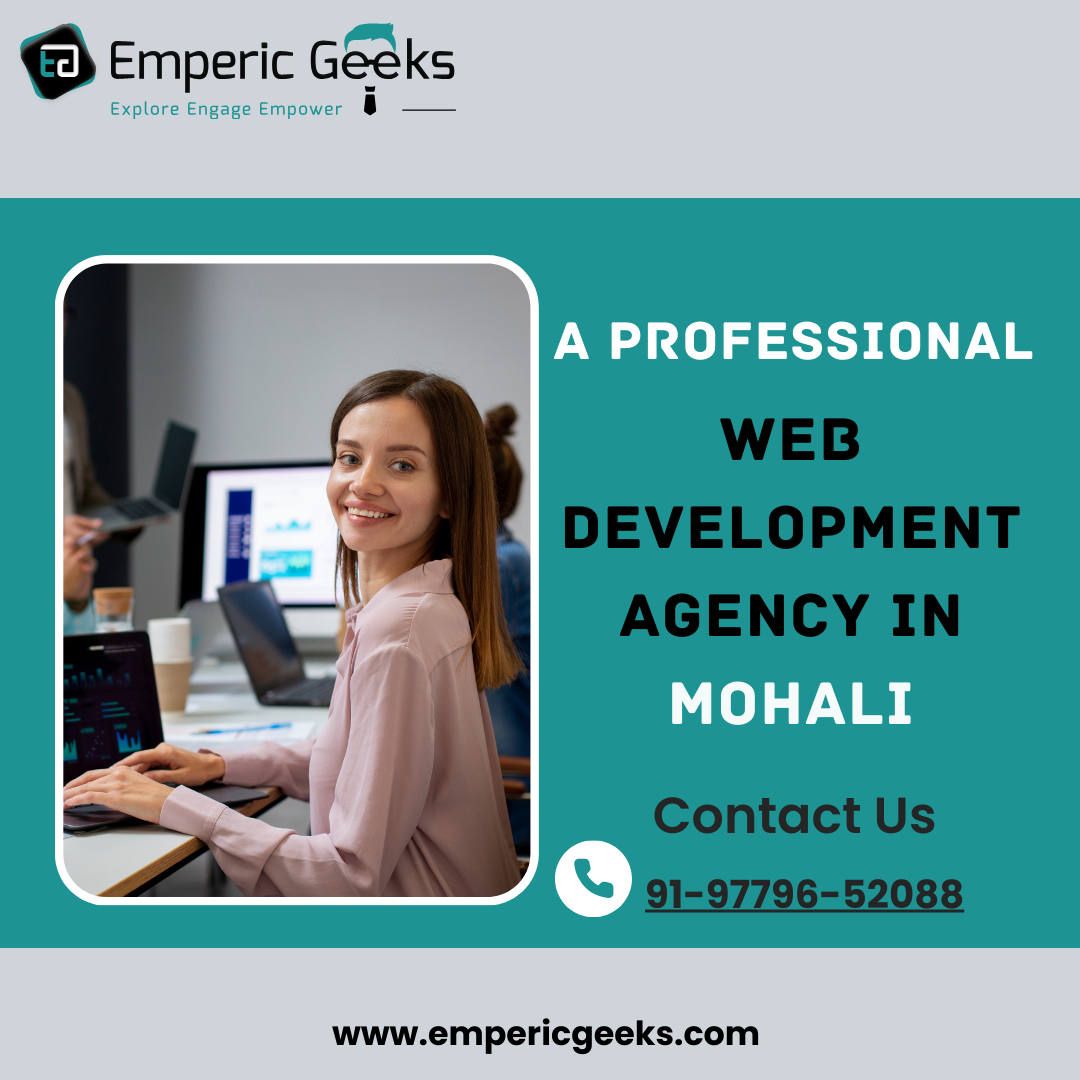 A Professional web development agency in Mohali - Seoempericgeeks - Medium
