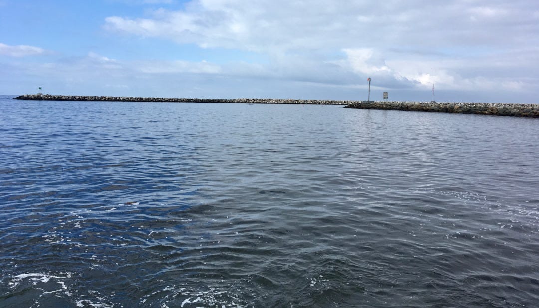 Becoming Aware of the Water We Swim In | by Glenn Geffcken | Medium