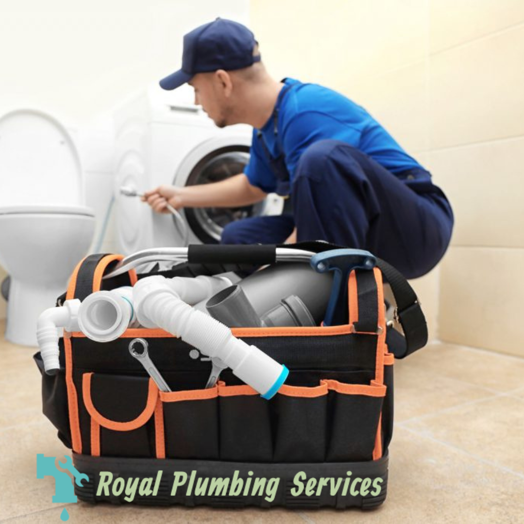 Signs Your Toilet is About to Get Clogged | by Royal Plumbing Services ...