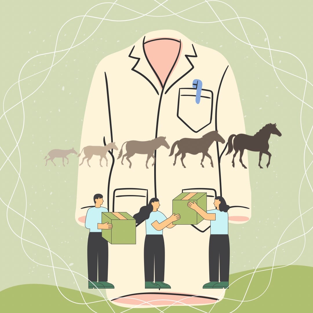 How should we ‘Adopt’ or ‘Adapt’ in Programming | by Samiha Ali | Medium