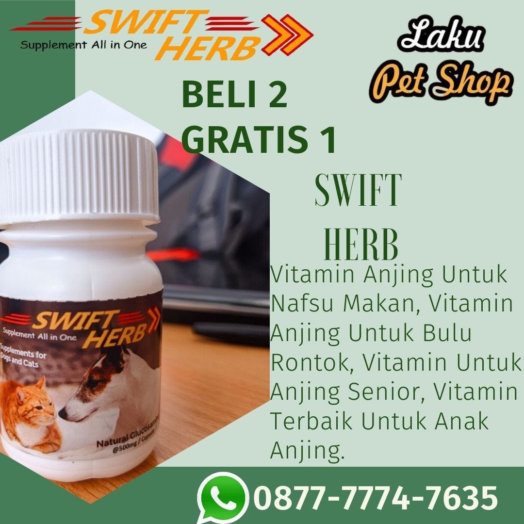 7 Cara Merawat Anjing dengan Benar agar Senantiasa Sehat | by Vitamin ...