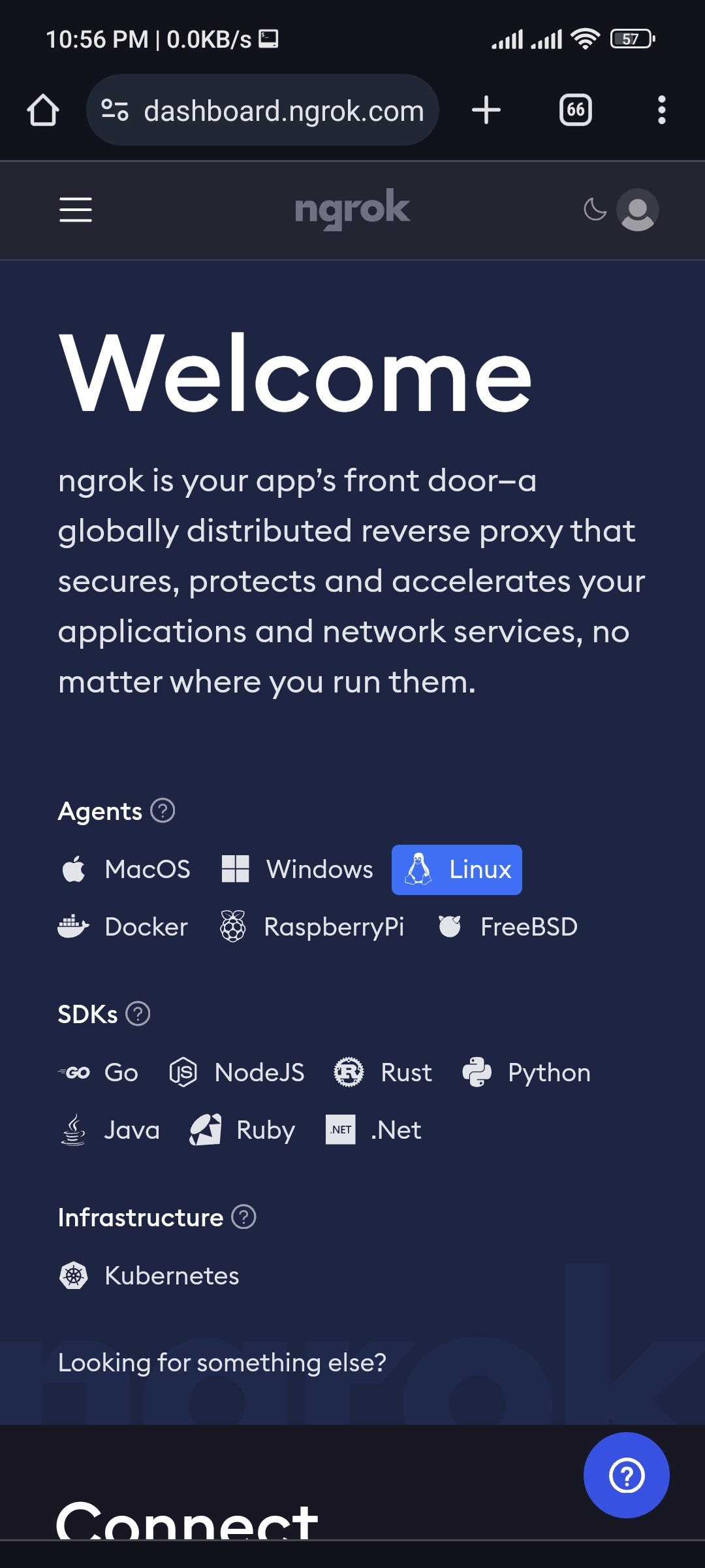 Port Forwarding with Ngrok By Kali Nethunter | by MAS Hunter | Medium