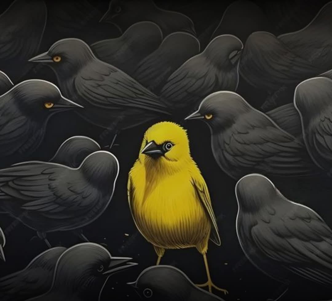 REAL IS RARE, FAKE IS EVERYWHERE: EMBRACING AUTHENTICITY IN A WORLD OF ...