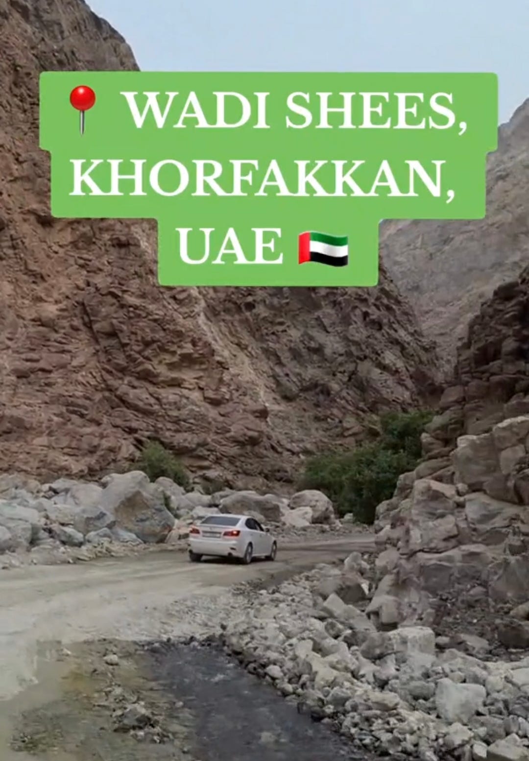 Wadi Shees Park Khorfakkan Trip. Khorfakkan Tour from Dubai including ...