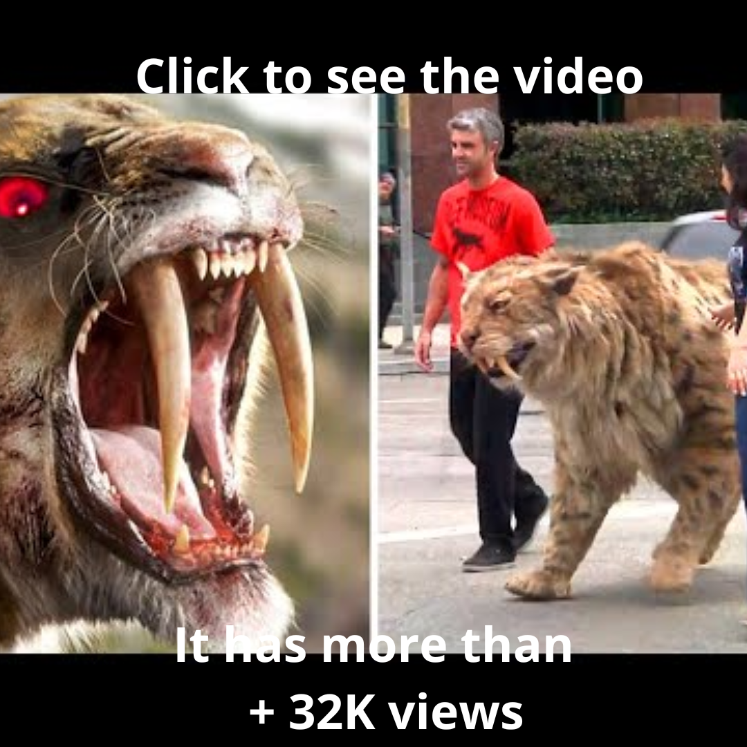 Resurrecting the Past: 20 Extinct Animals Scientists Are Ready to Bring ...